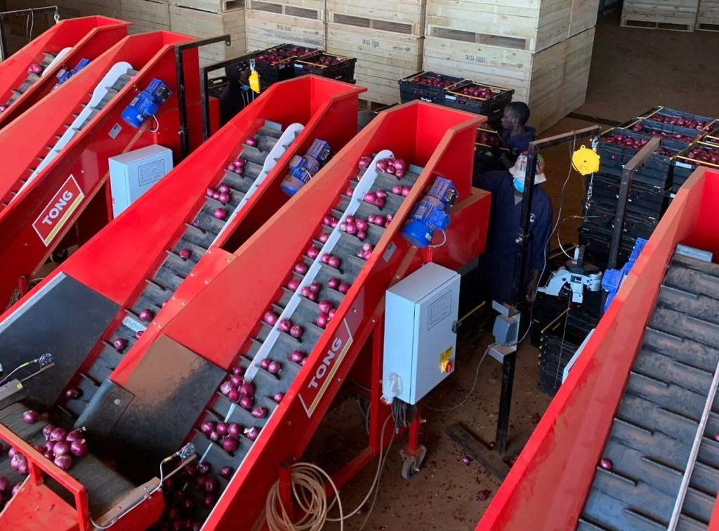 Tong Weighing Equipment - Dobmac Agricultural Machinery